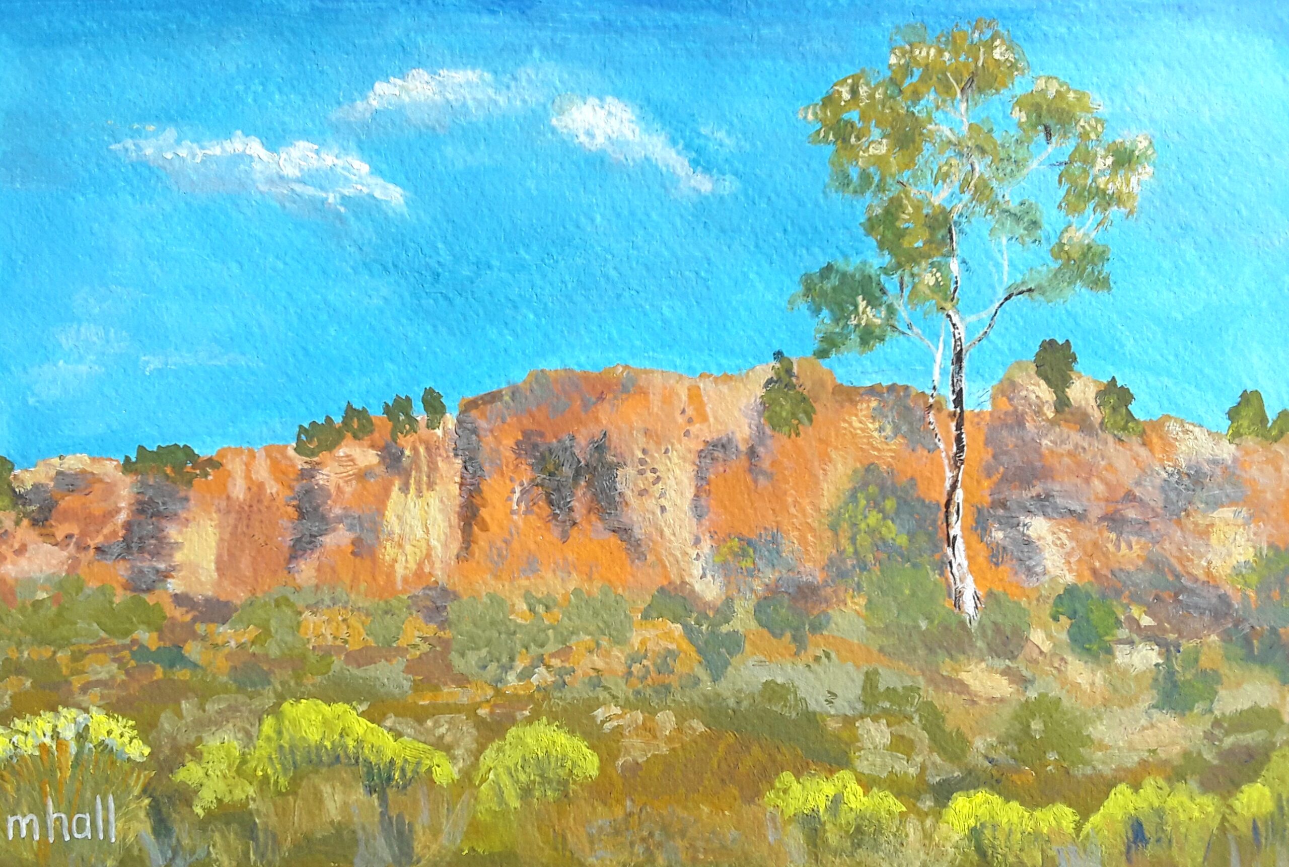 New Outback Painting in Gouache - Margaret Hall Fine Art