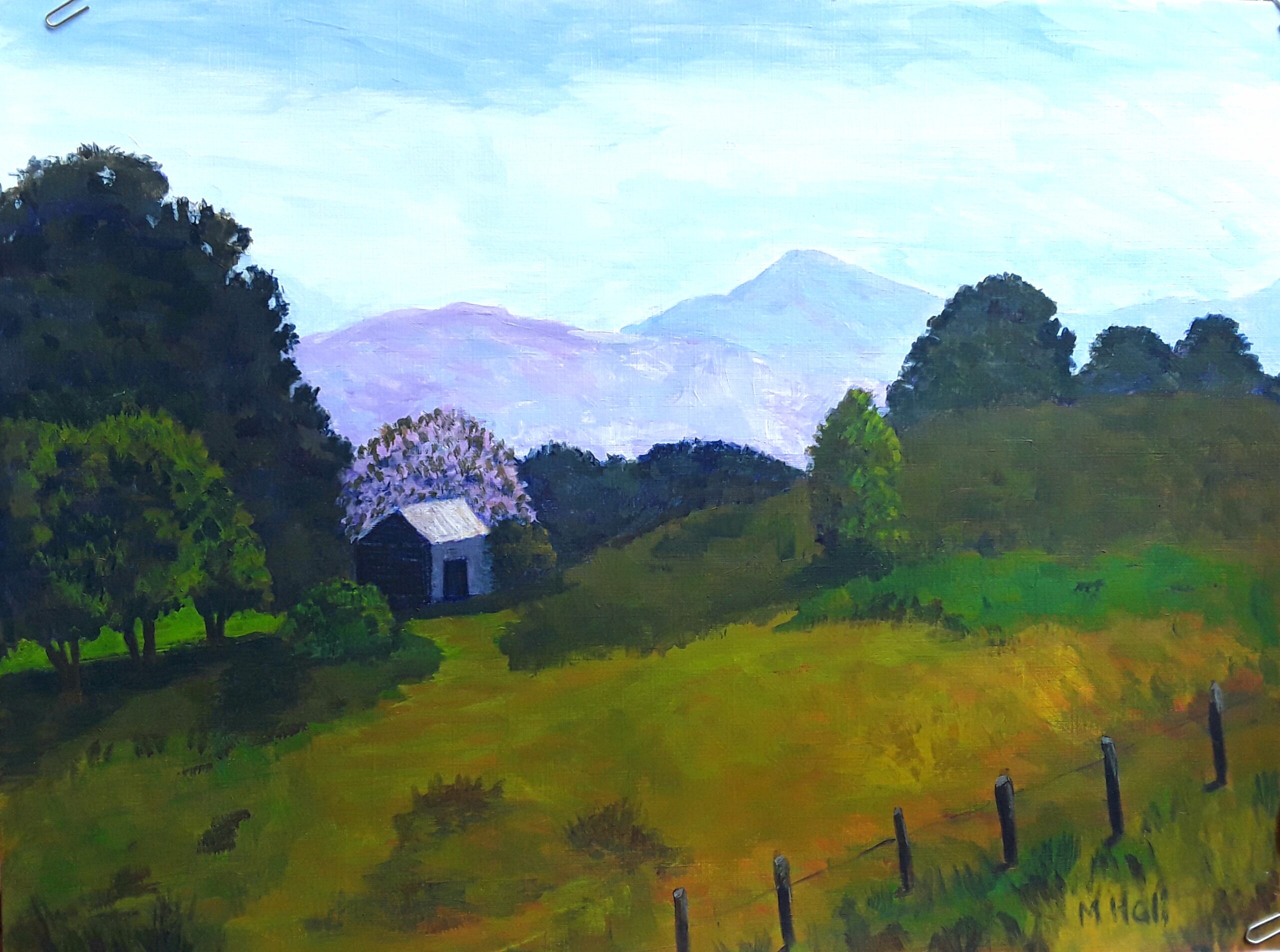 Realistic or Abstract - Your Choice! - Margaret Hall Fine Art